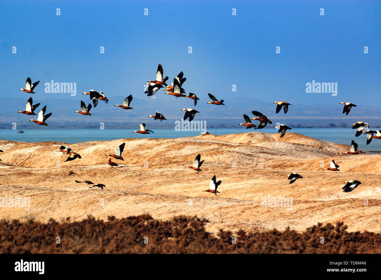Salt Lake Sunset Stock Photo Alamy