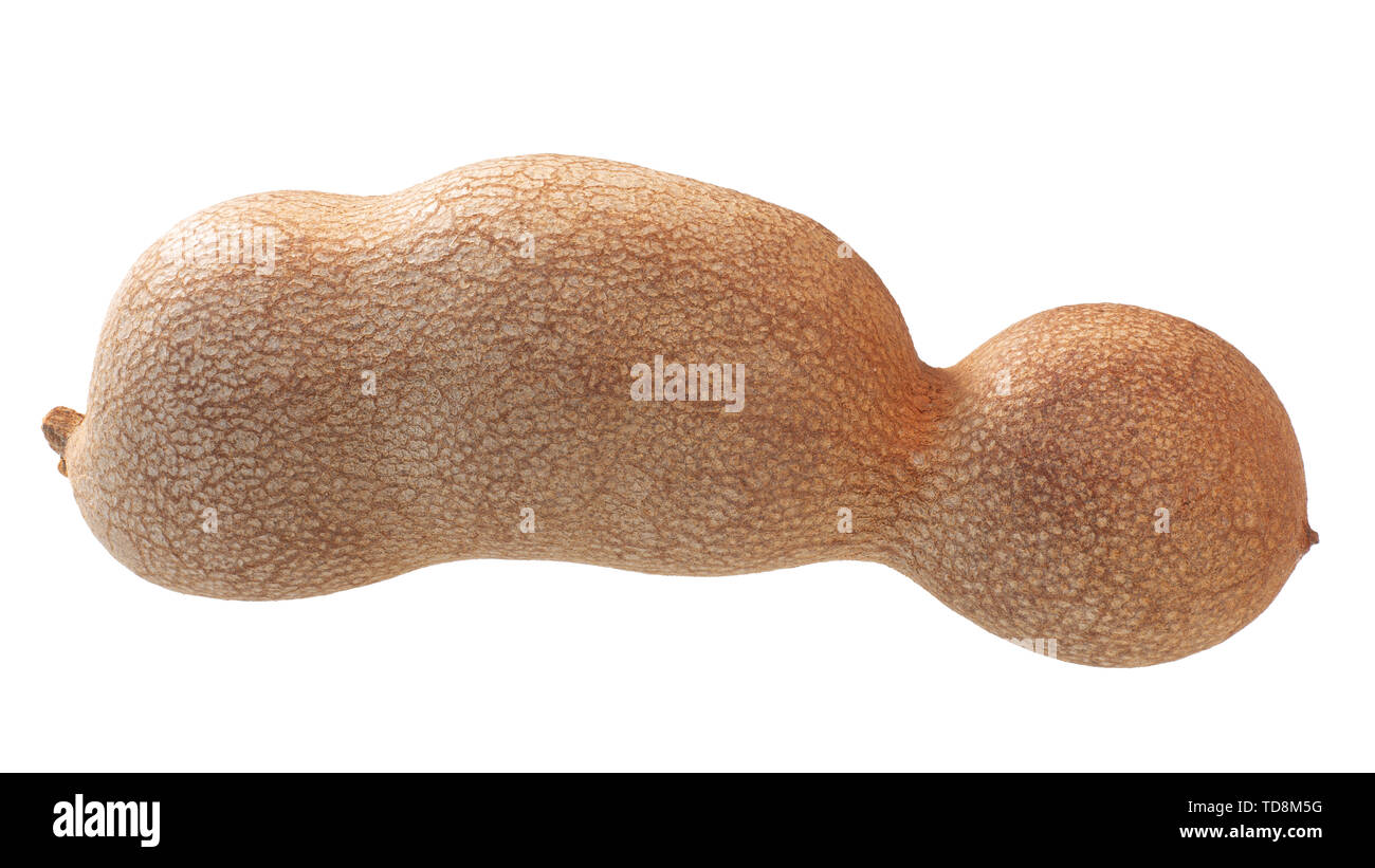 Tamarind pod (Tamarindus indica fruit), whole, isolated Stock Photo - Alamy
