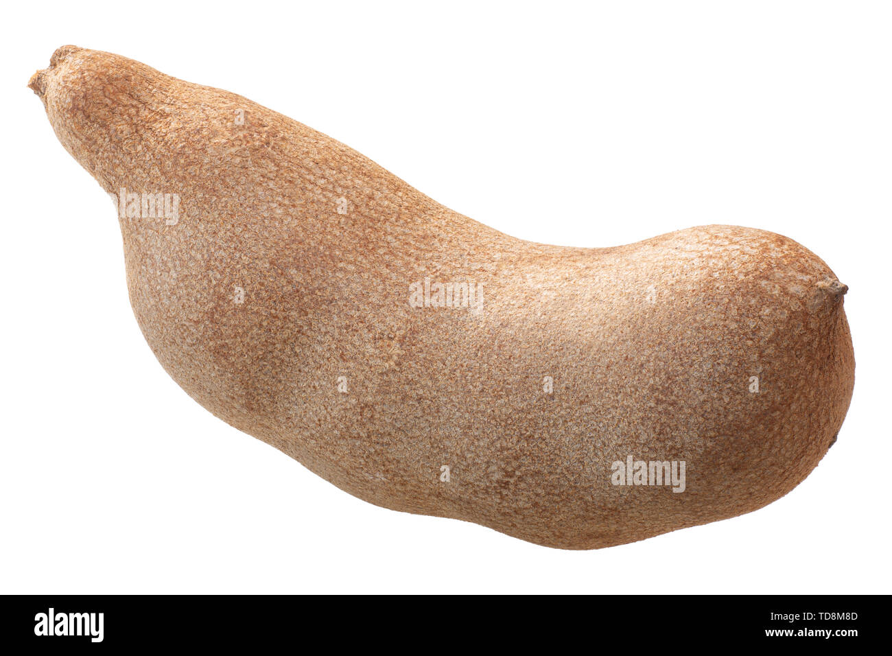 Tamarind pod (Tamarindus indica fruit), whole, isolated Stock Photo - Alamy