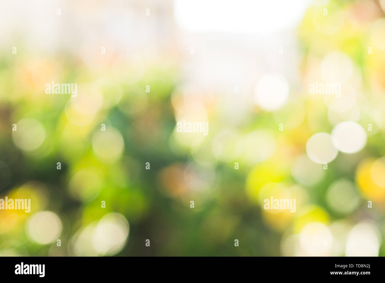Abstract blurred natural green light beautiful background. Design ...