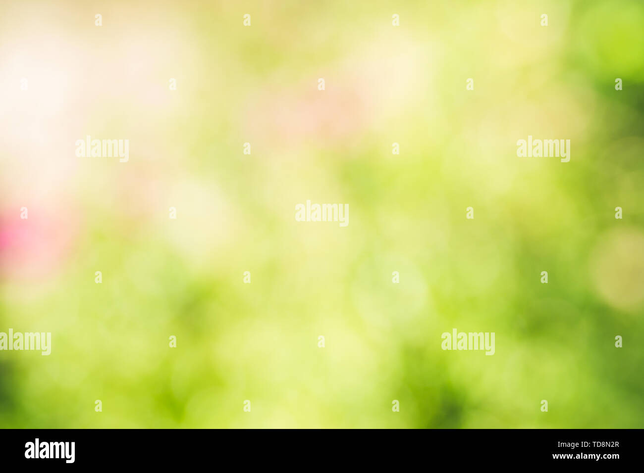 Abstract blurred natural green light beautiful background. Design ...
