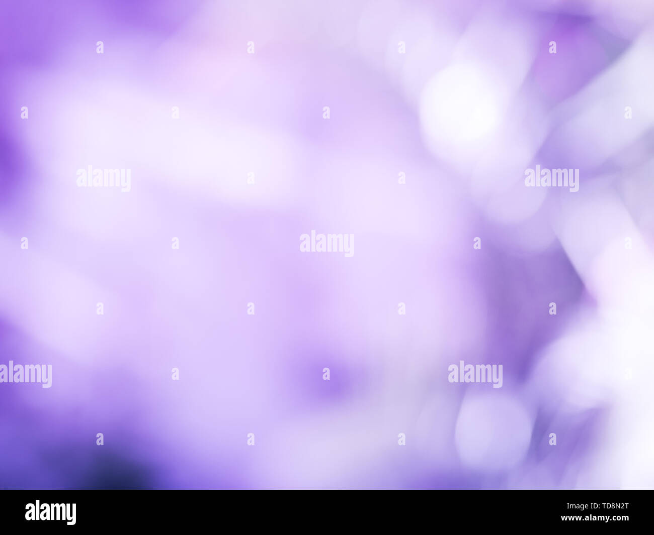 Abstract blurred natural purple background. Design backdrop Stock Photo ...