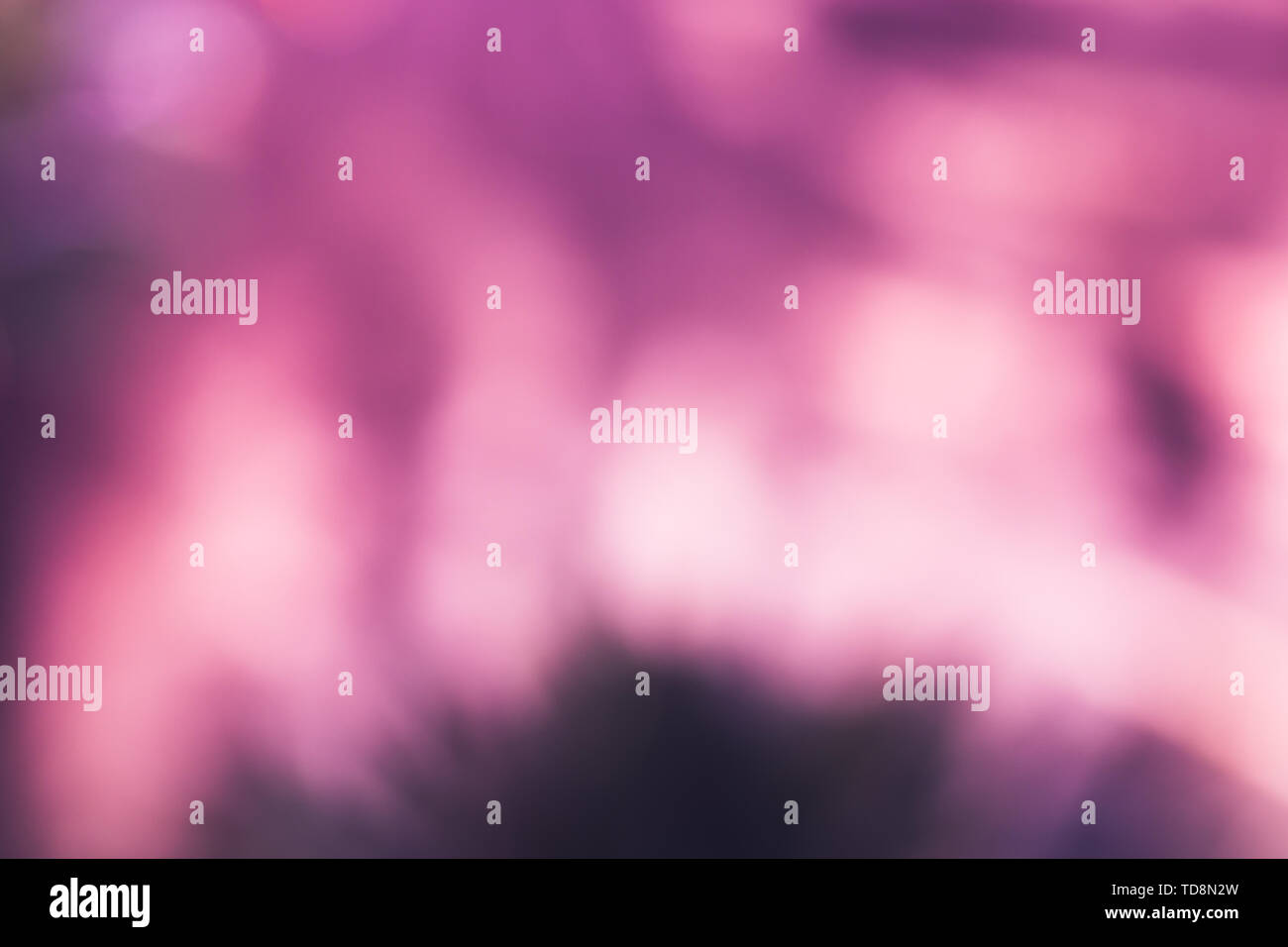 Abstract blurred natural purple background. Design backdrop Stock Photo ...