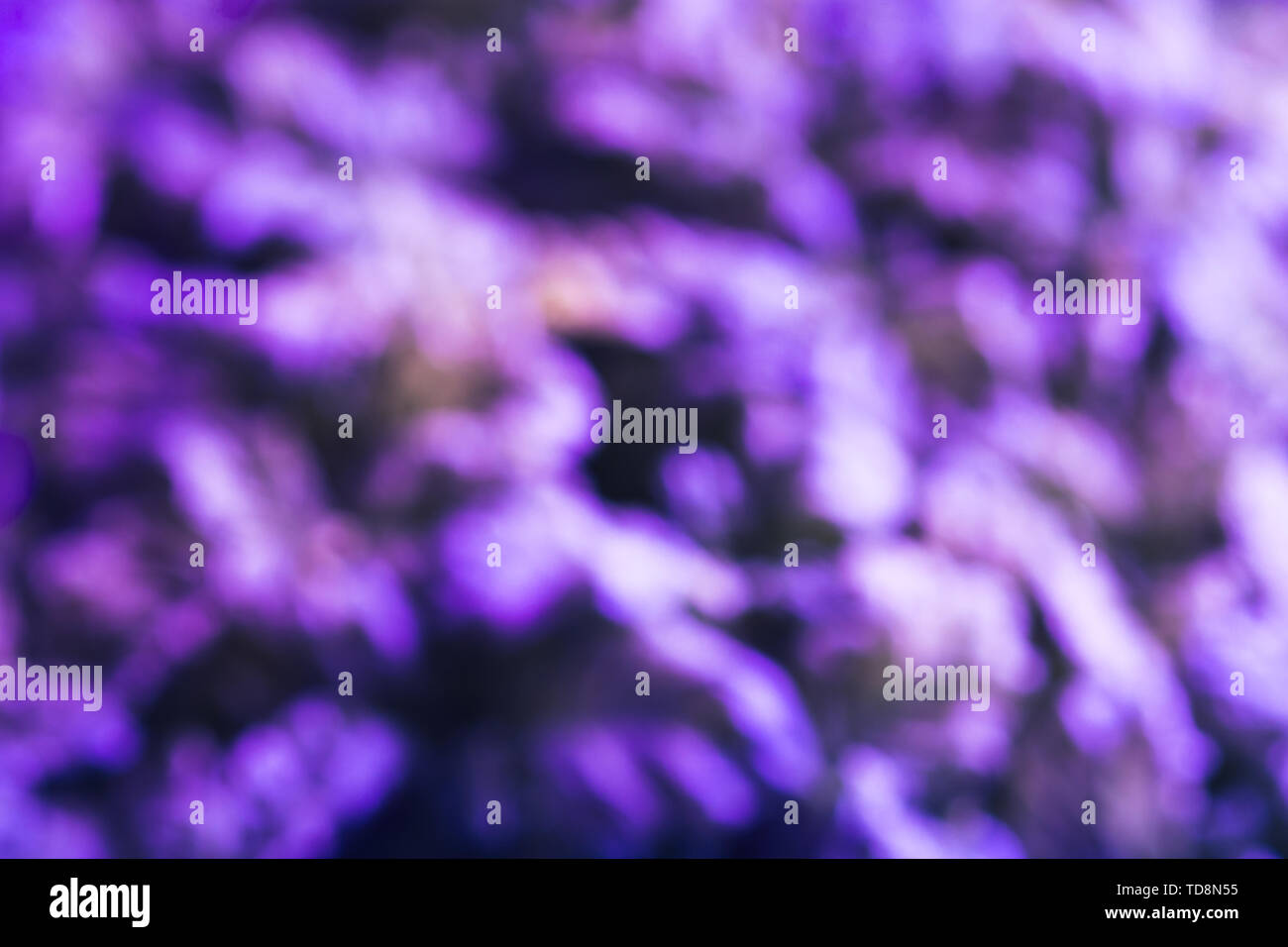 Abstract blurred natural purple background. Design backdrop Stock Photo ...