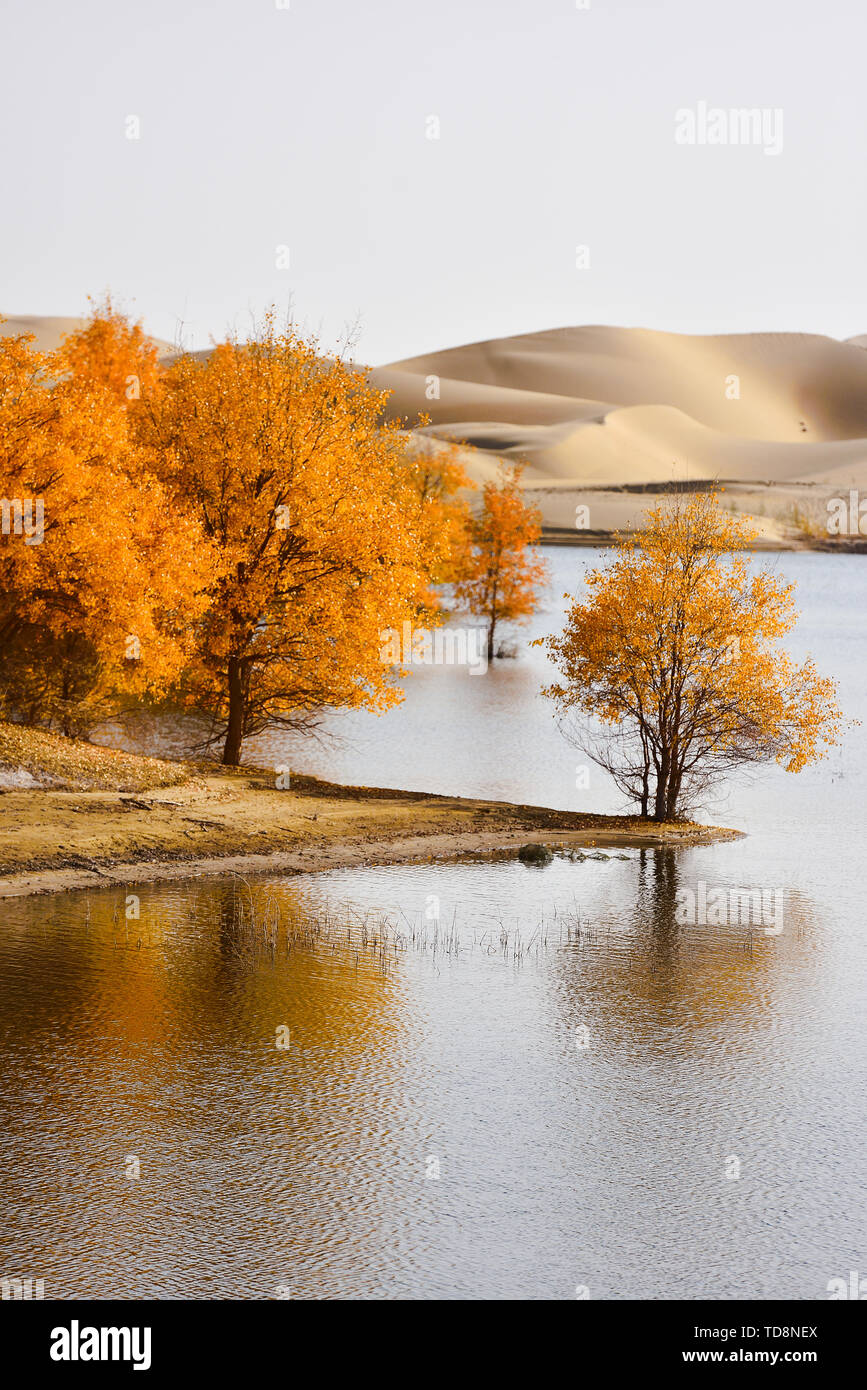 Quiet Hu Yang Stock Photo - Alamy