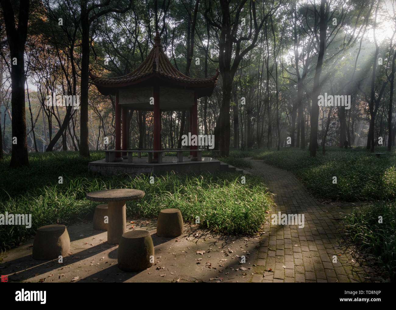 Huazhong university of science and technology hi-res stock photography ...