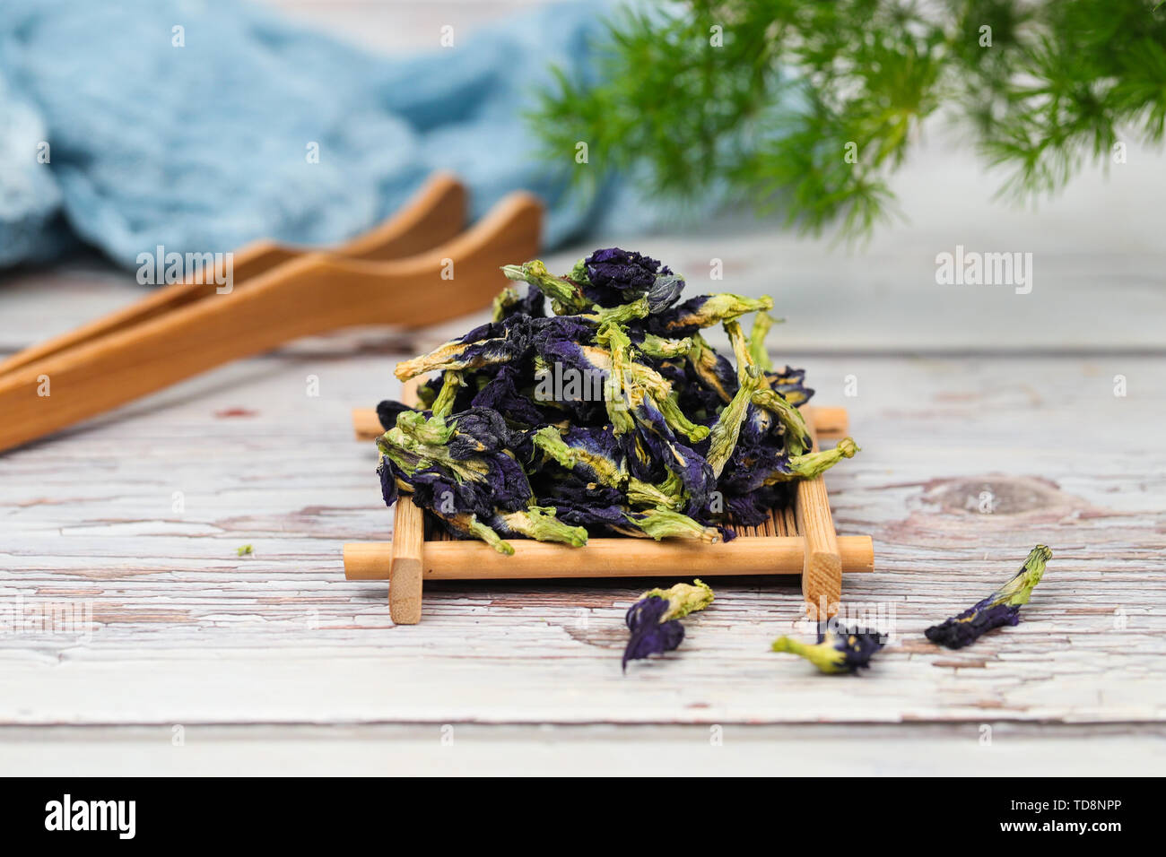 Butterfly bean flower tea blue butterfly flower Stock Photo - Alamy