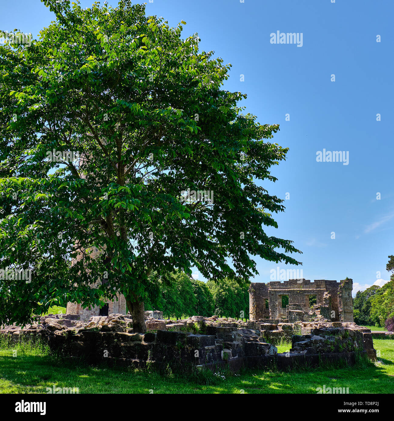 Looking over to the Ancient Scottish Ruins and Outbuilding walls of Old ...