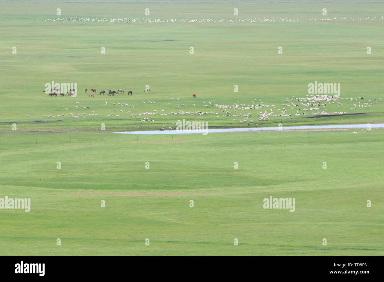 Erguna river erguna river wetland hi-res stock photography and images ...