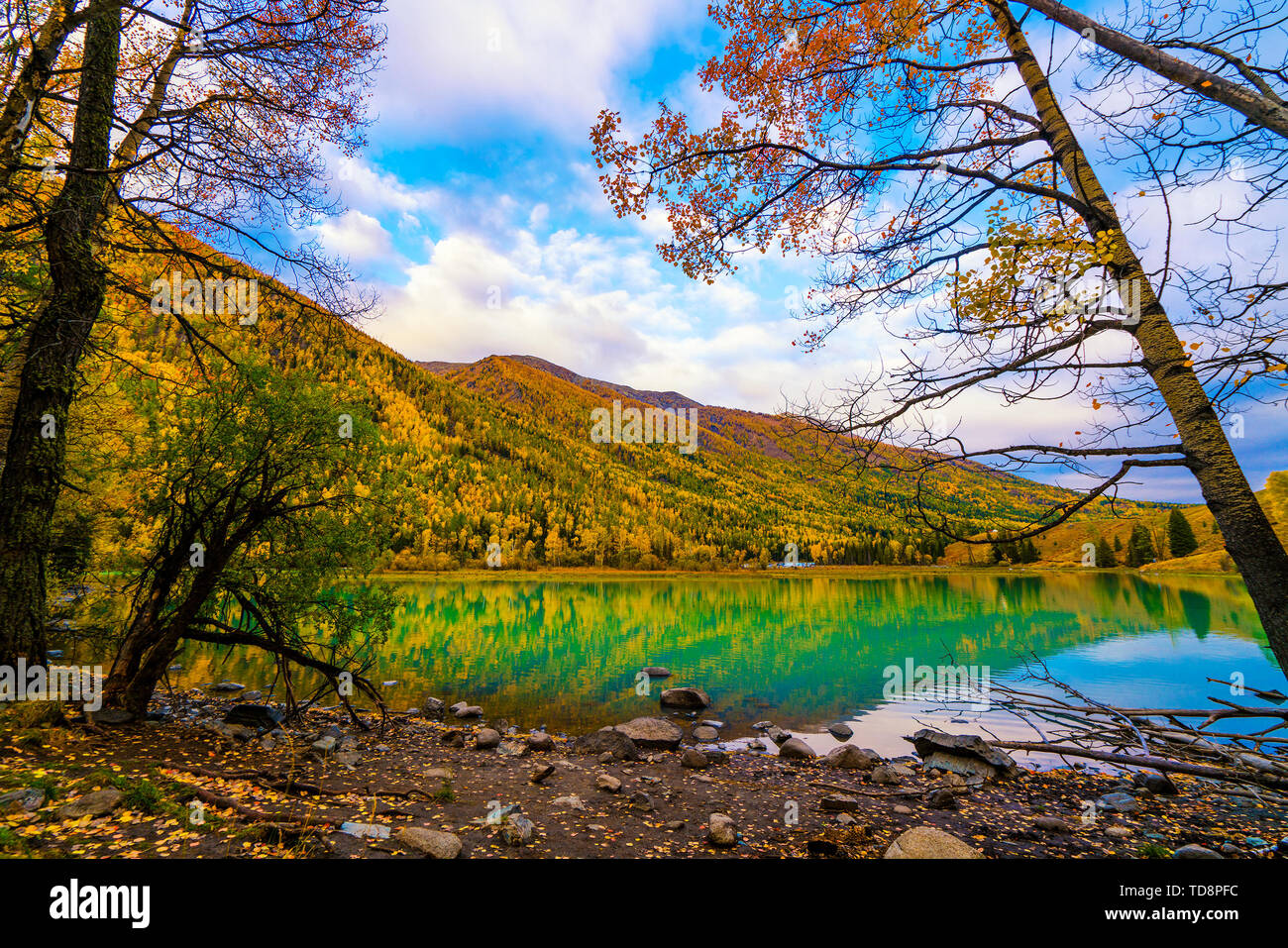 Scenery of Xinjiang Stock Photo - Alamy