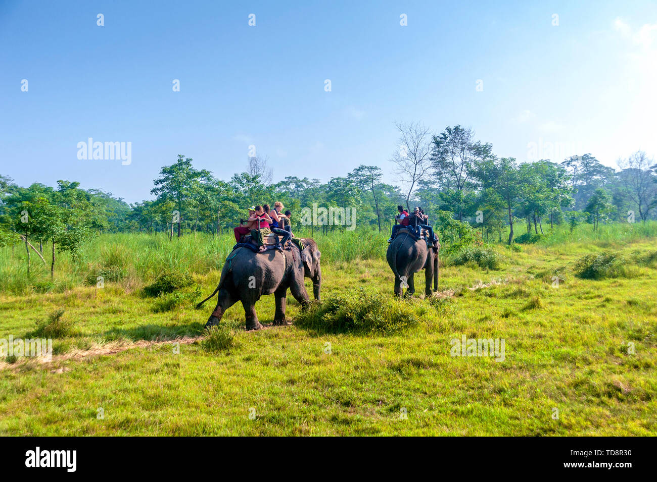 Chitwan National Park, Nepal Stock Photo - Alamy