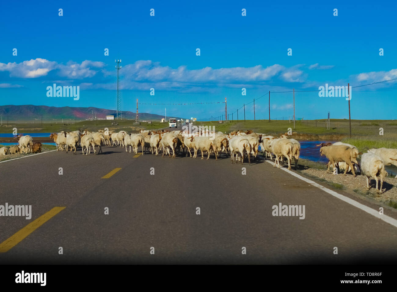 Qinghai lake qinghai lake scenery scenery around the lake hi-res stock ...