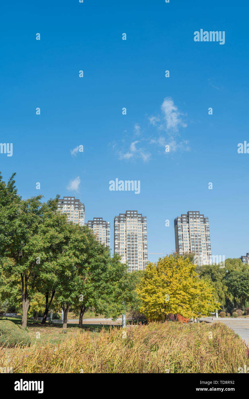 Forest of Autumn City Architecture Park, Shenyang, China Stock Photo ...