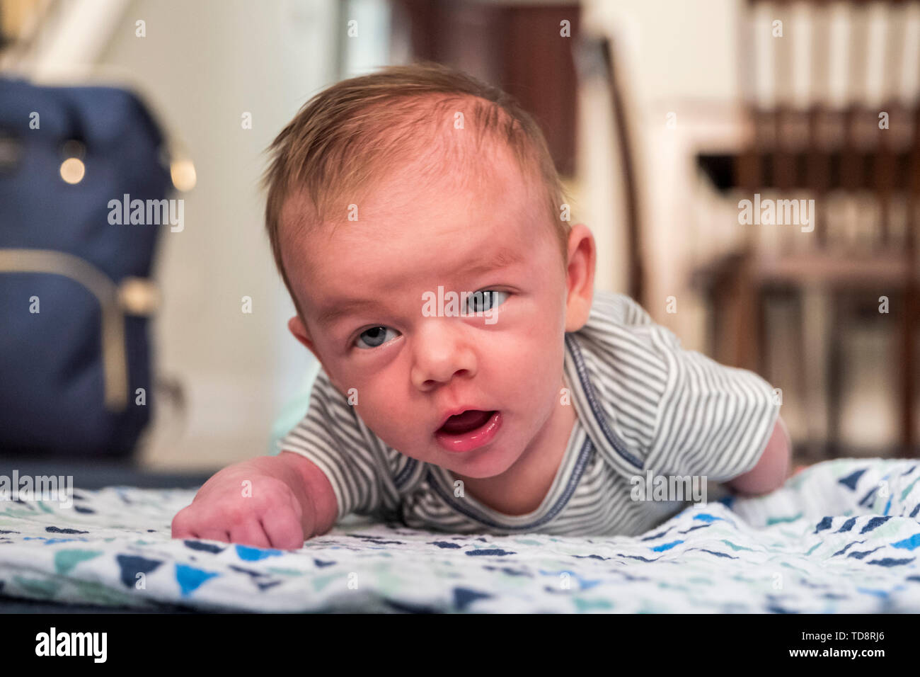Five week old new born baby boy Stock Photo - Alamy