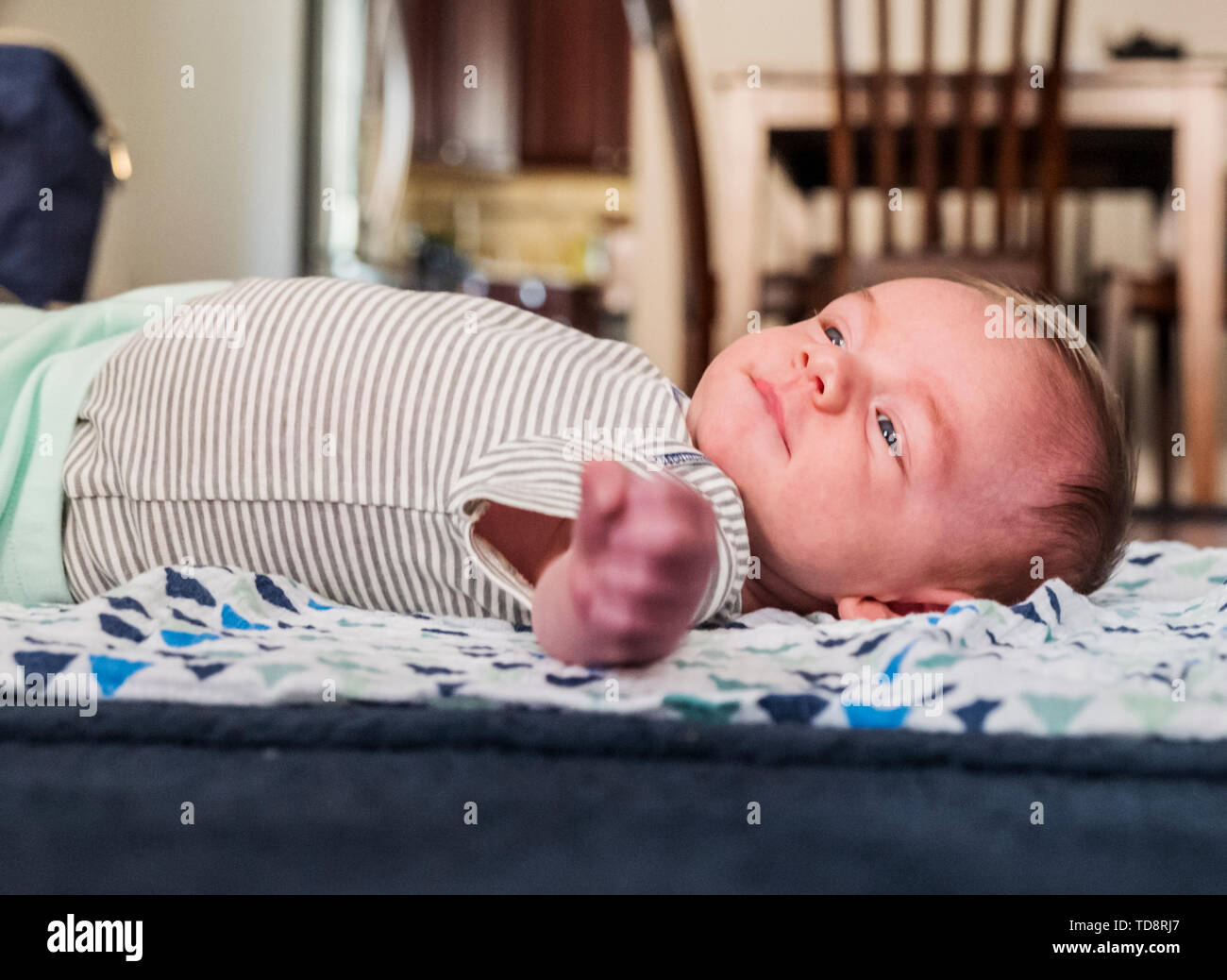 Five week old new born baby boy Stock Photo - Alamy