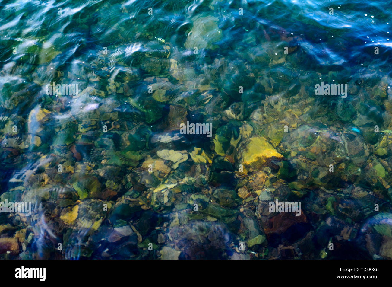 Clear, clear lake water Stock Photo - Alamy