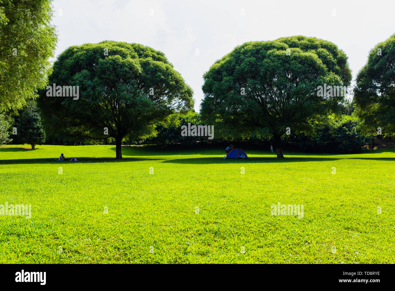Beijing olympic forest park hi-res stock photography and images - Alamy