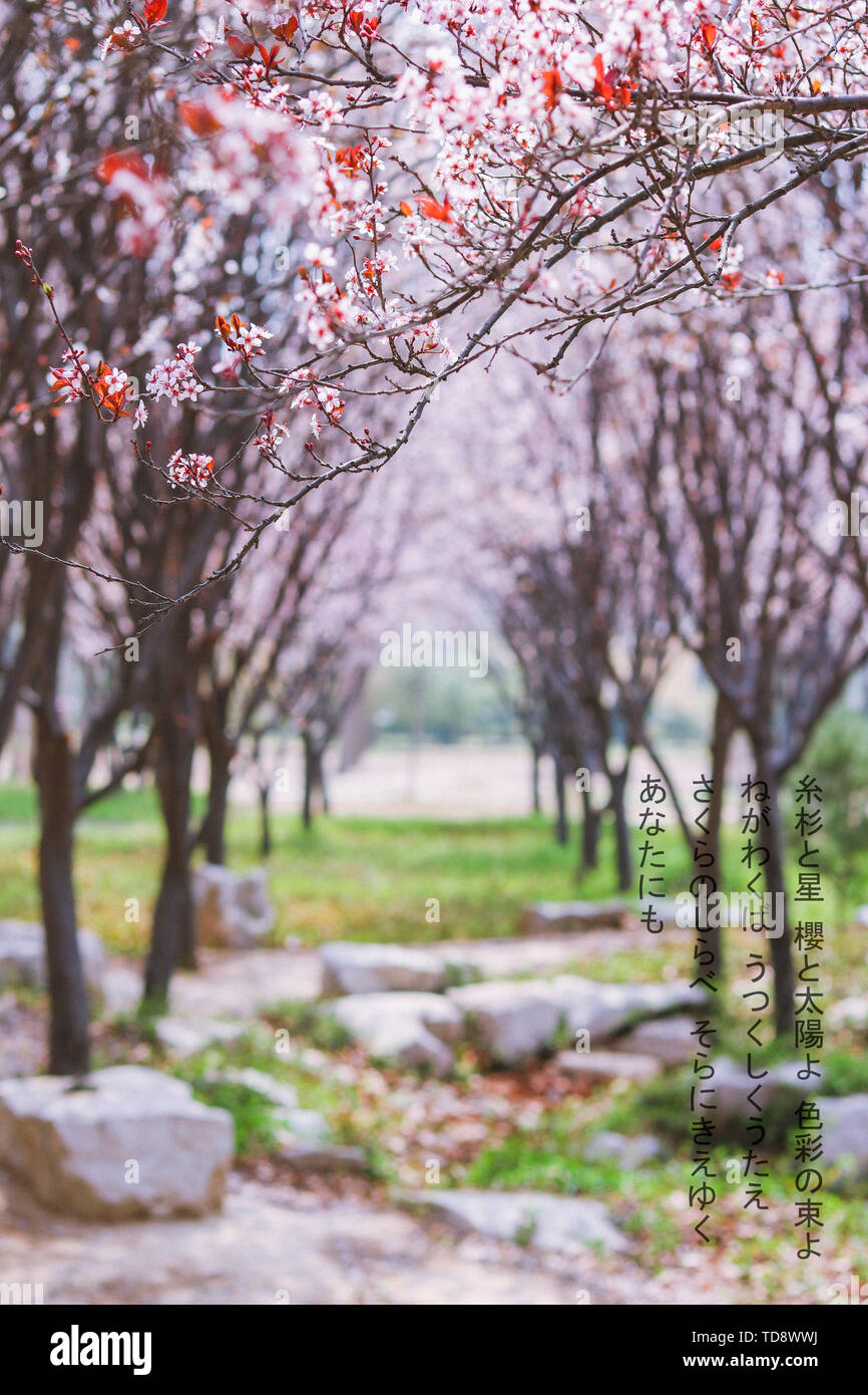 Healing style, microscopic pictures Stock Photo - Alamy