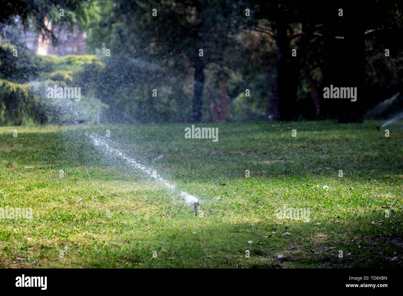Lawn Water Sprinkler Spraying Water Over Stock Photo - Alamy