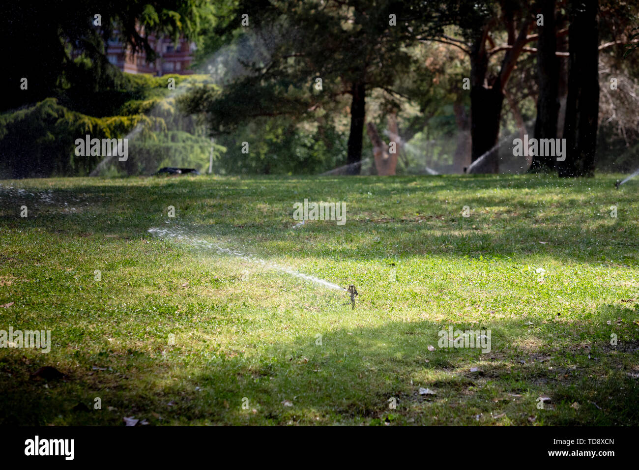 Lawn Water Sprinkler Spraying Water Over Stock Photo - Alamy