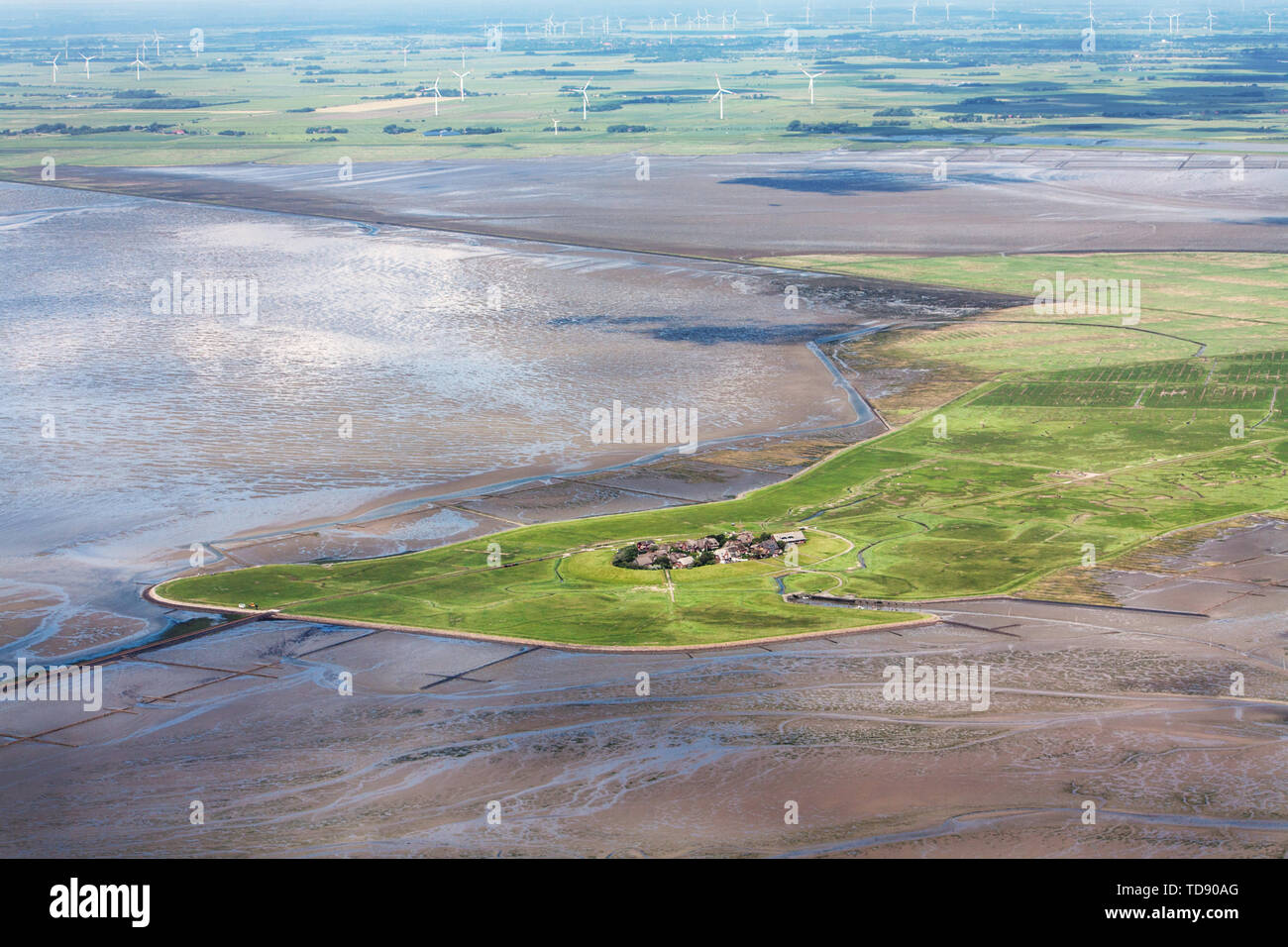 Hallig oland hi-res stock photography and images - Alamy