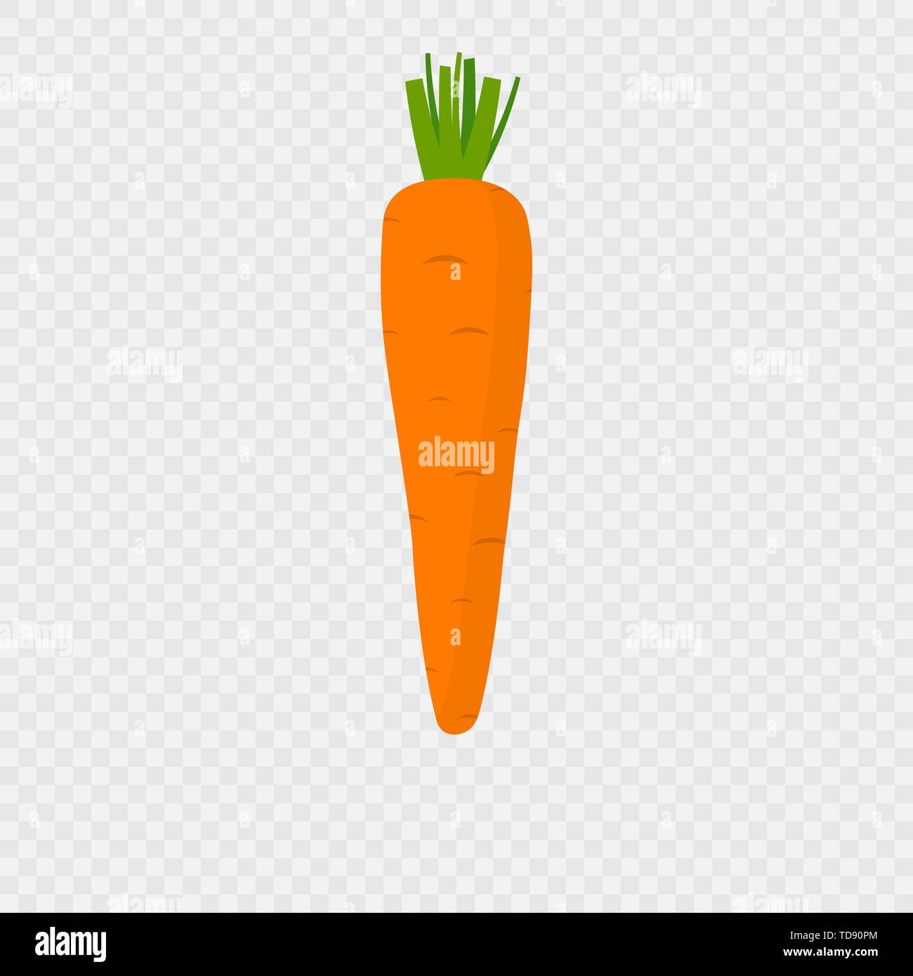 Carrots and shadow of carrots Stock Vector Images - Alamy