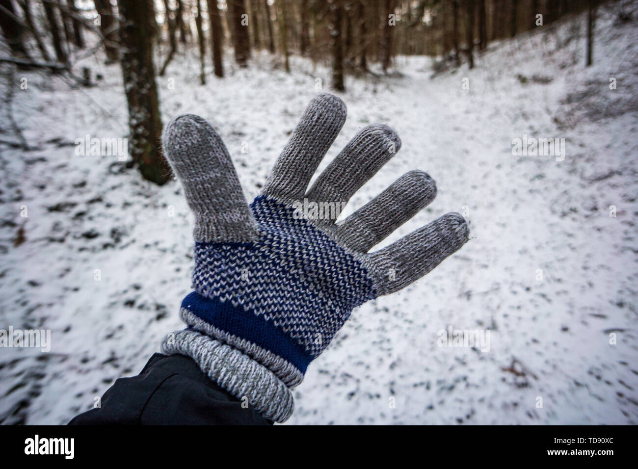 male hand showing direction in forest. perspective Stock Photo - Alamy
