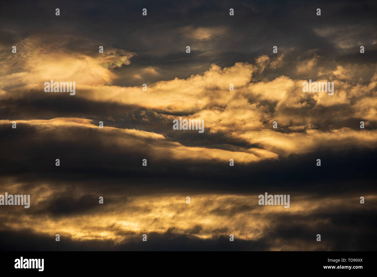 blue sky with clouds and plane trails and some birds flying. abstract ...