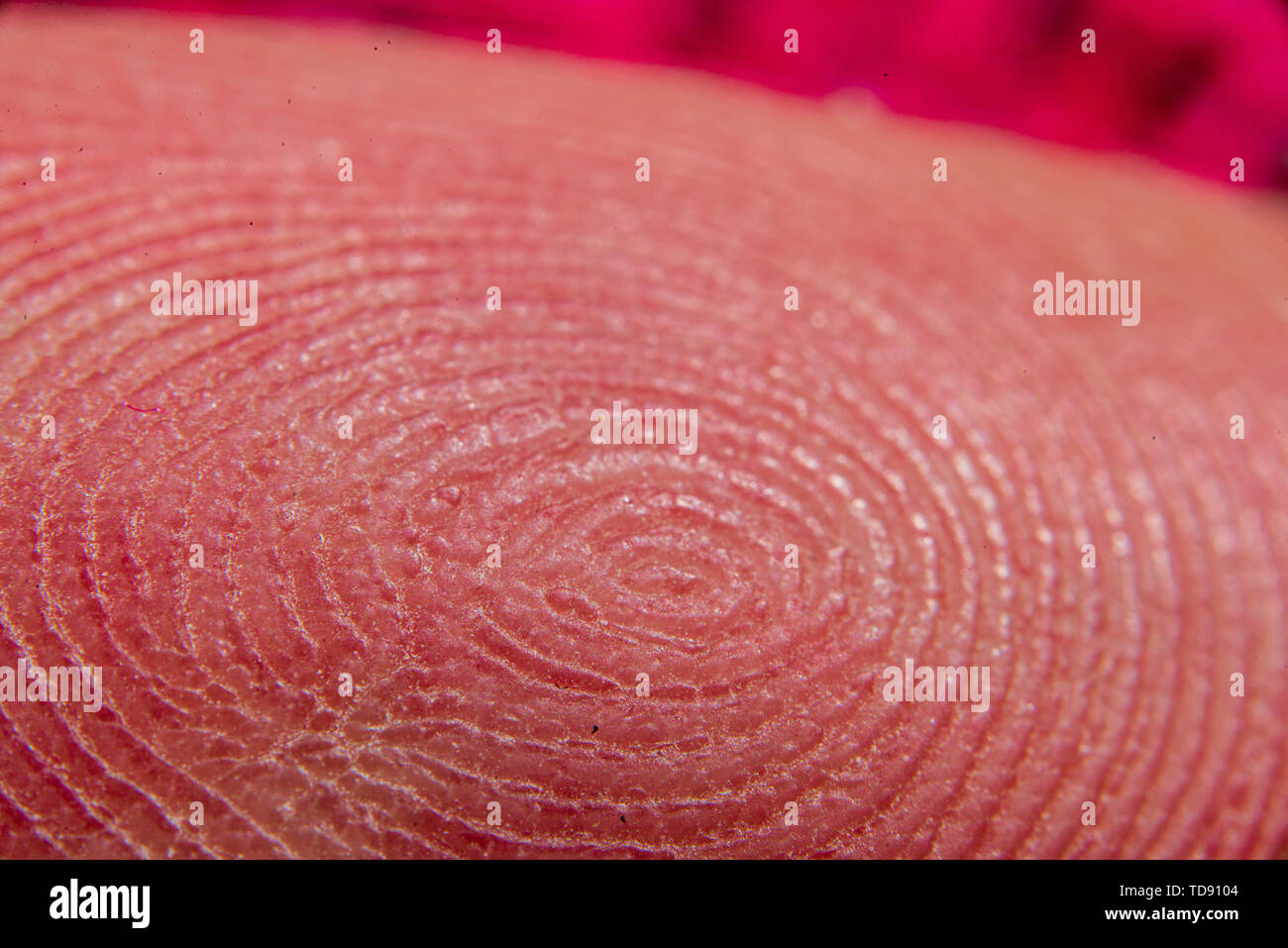 No finger prints hi-res stock photography and images - Alamy