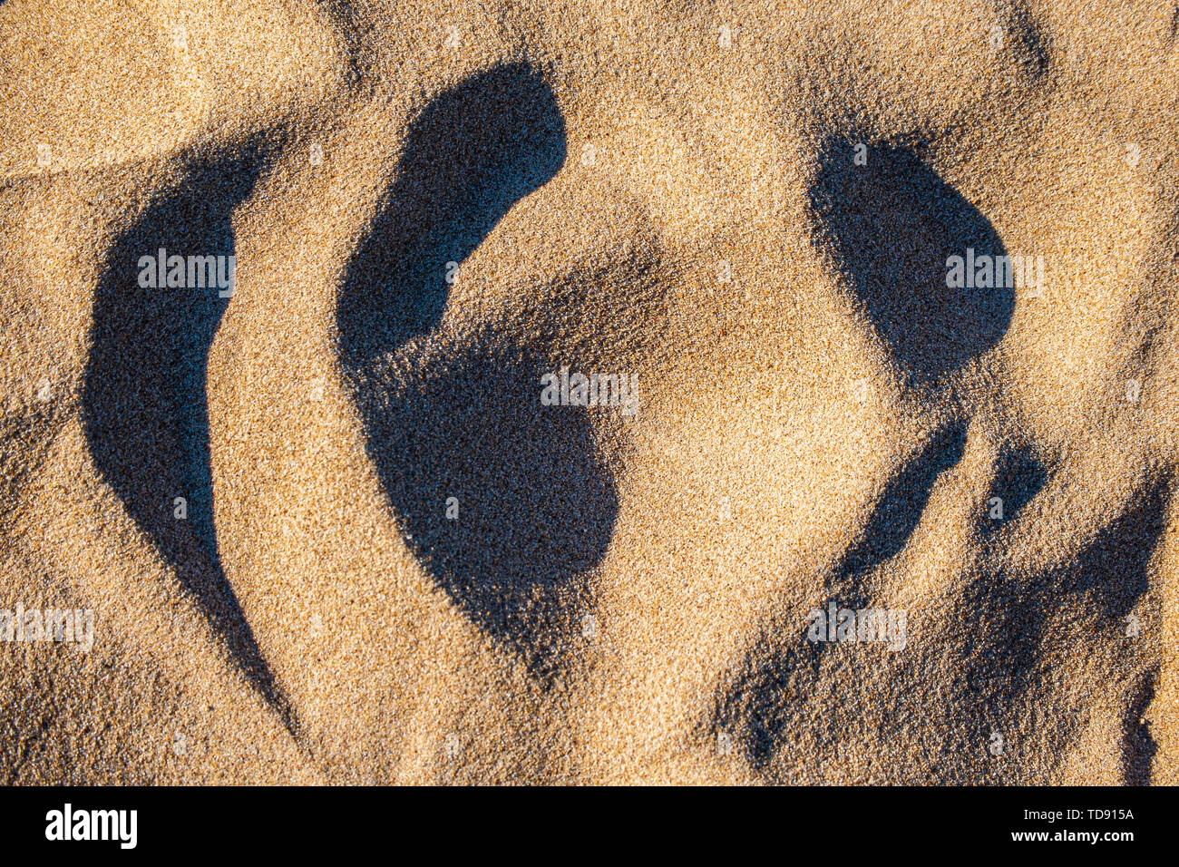 sand texture on the beach in summer Stock Photo - Alamy