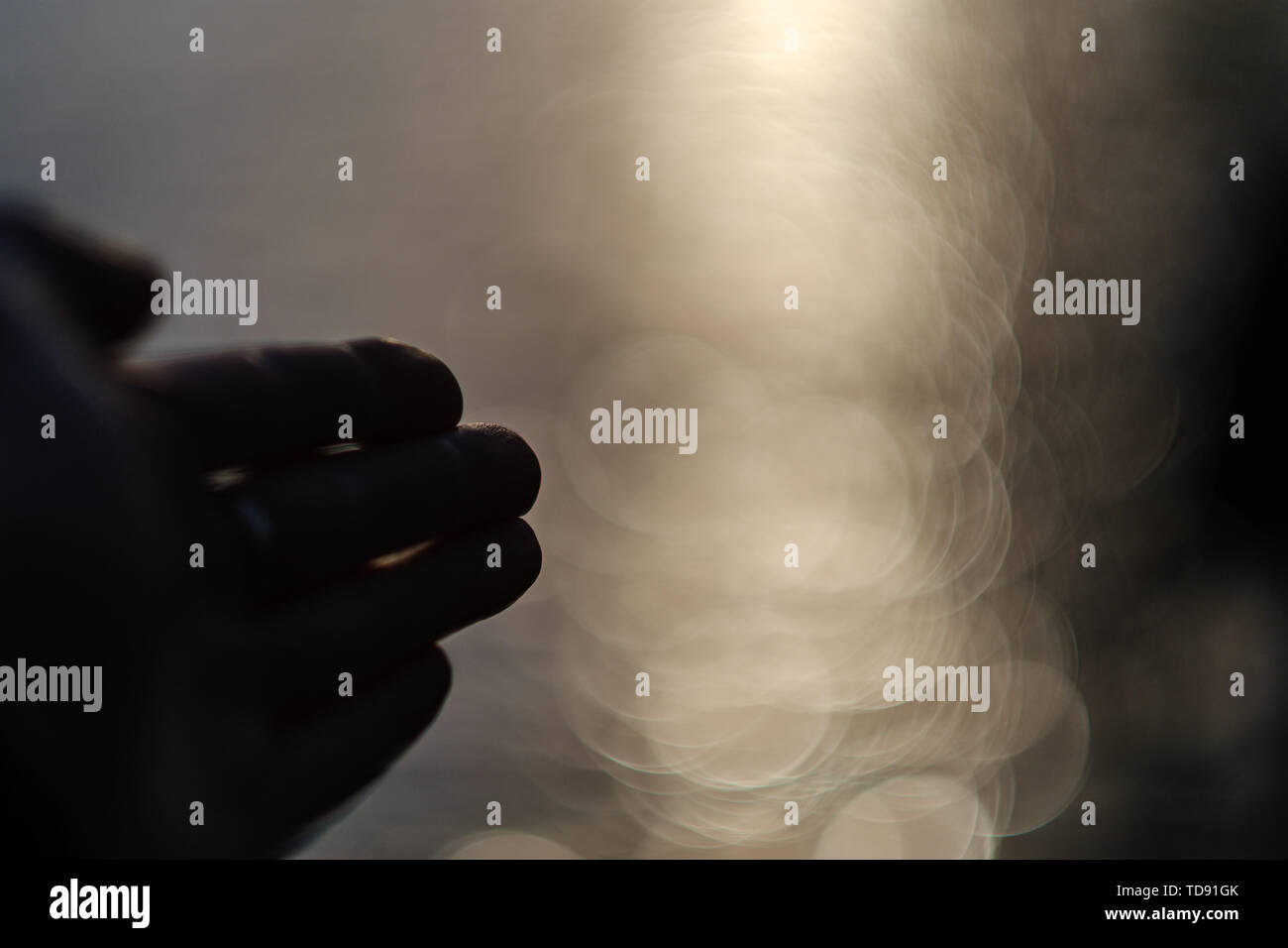 male hand showing direction in forest. perspective Stock Photo - Alamy