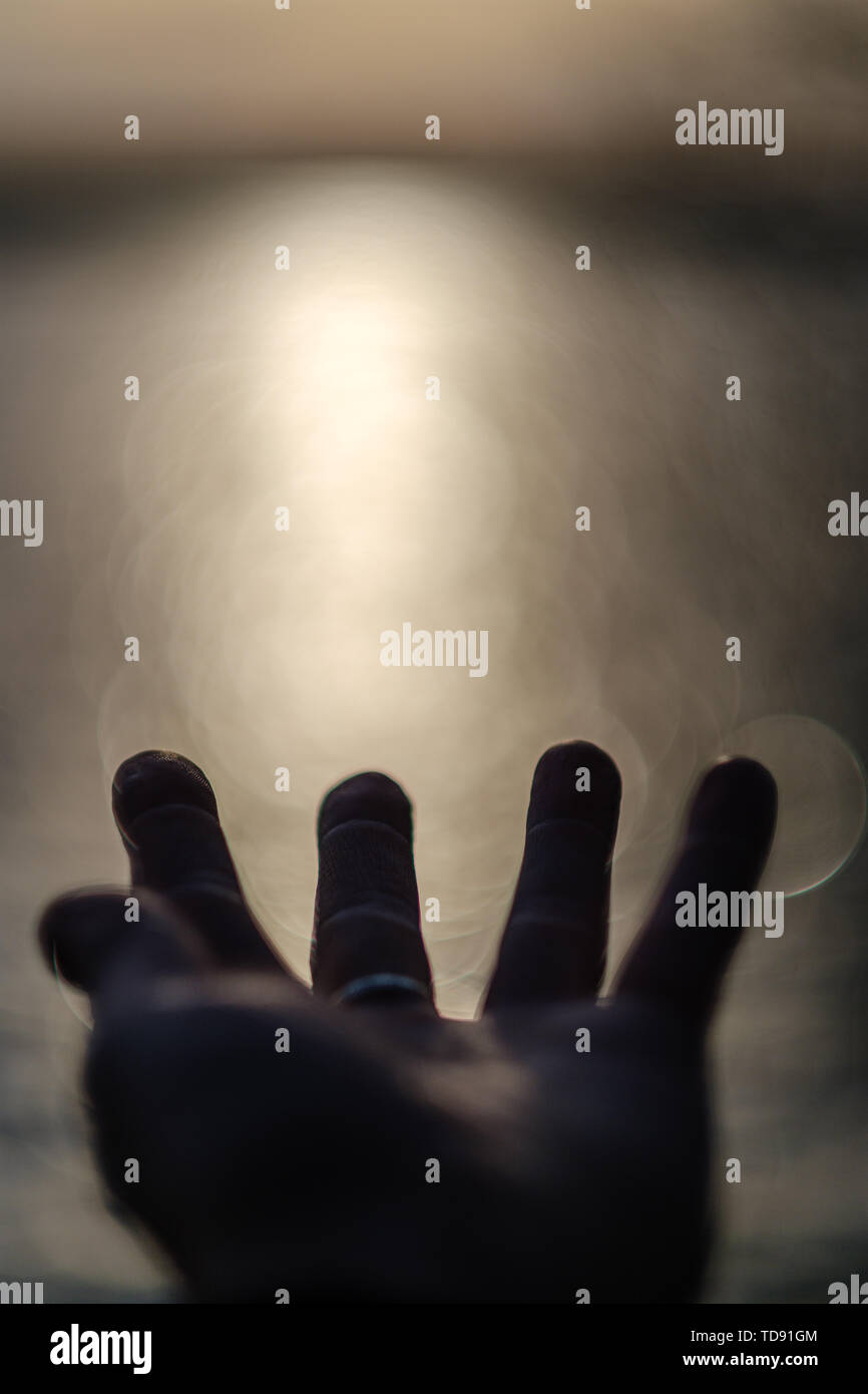 male hand showing direction in forest. perspective Stock Photo - Alamy