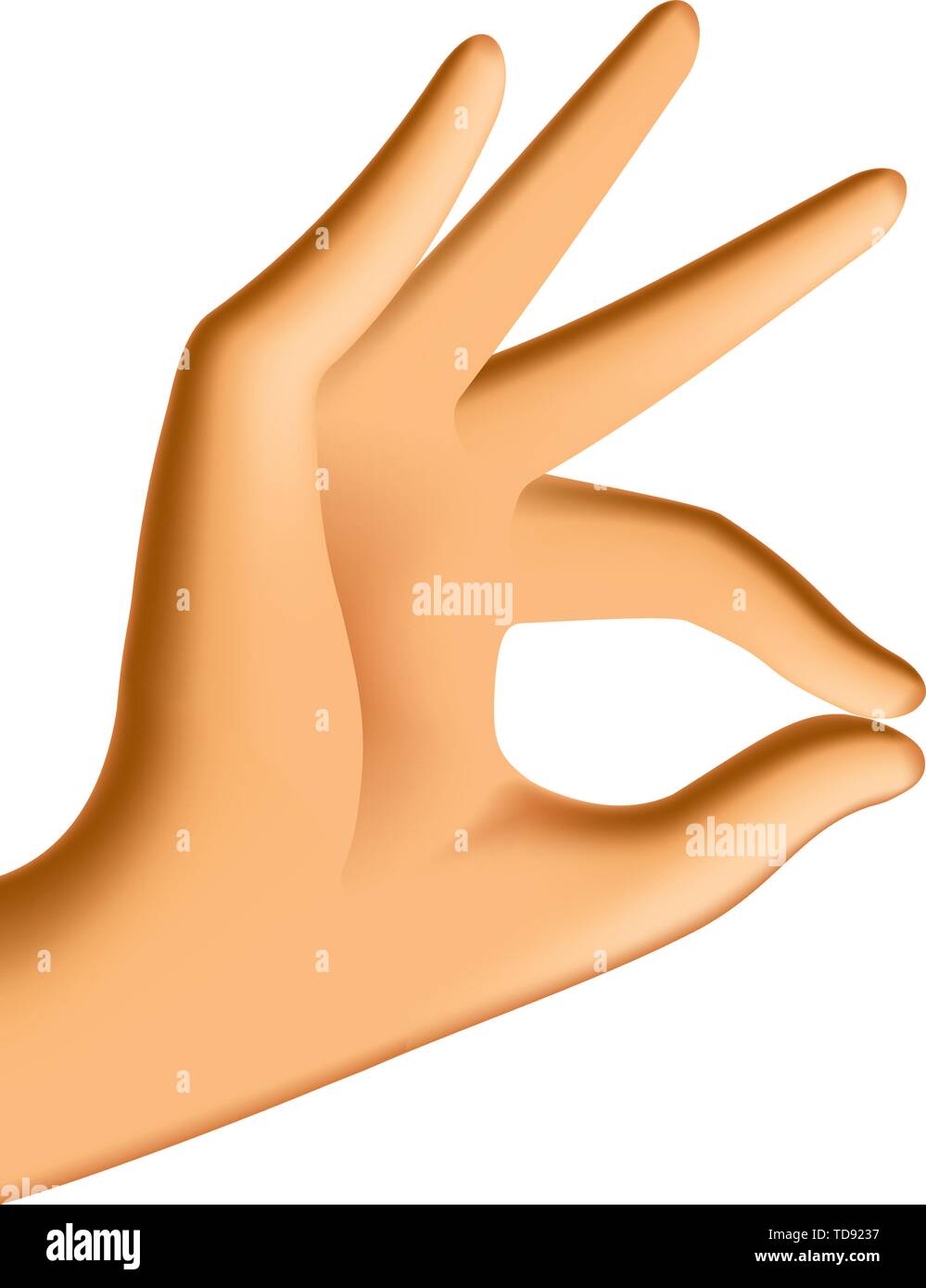 Vector illustration. Open approved hand with shadows and lights. Soft ...