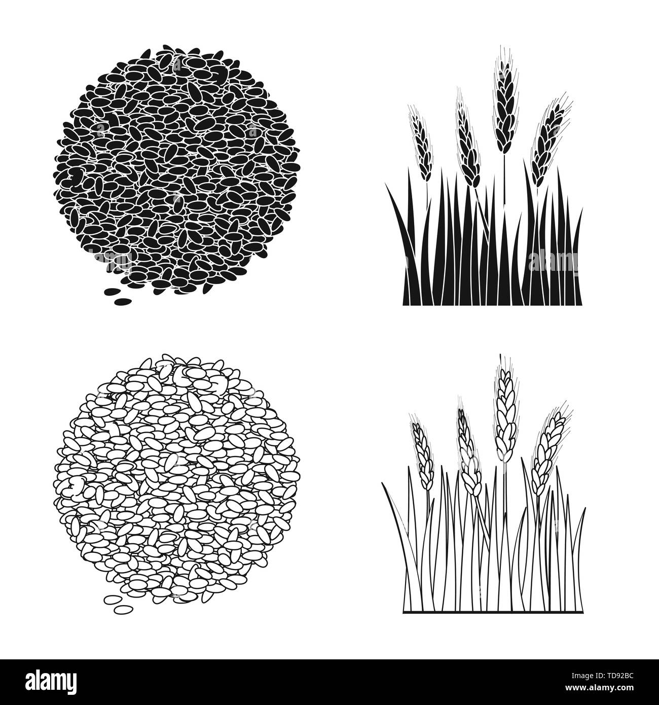 spring,seeds,spike,crop,barley,bread,land,cereal,cornfield,countryside ...
