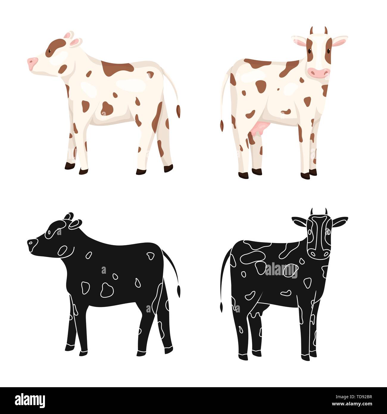 cow,heifer,calf,cheese,animal,milk,cattle,beef,meat,dairy,husbandry ...