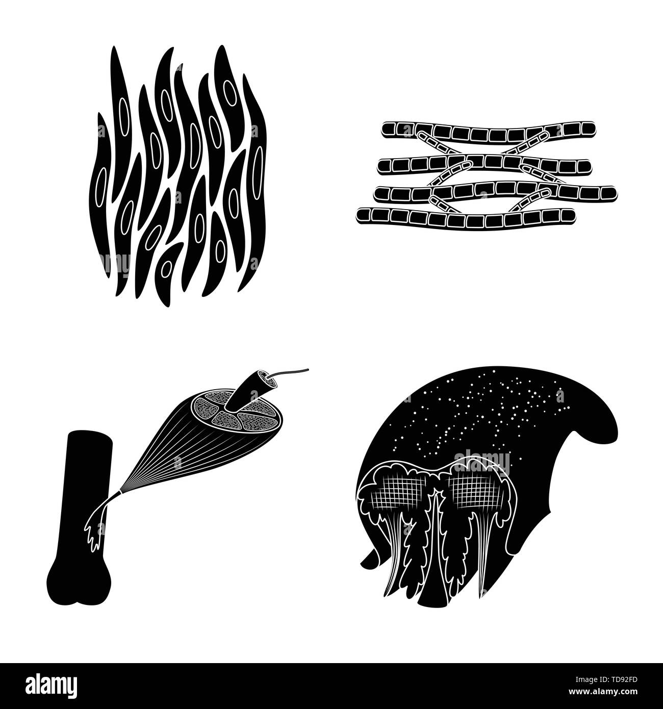 Isolated object of human and body logo. Collection of human and cells ...