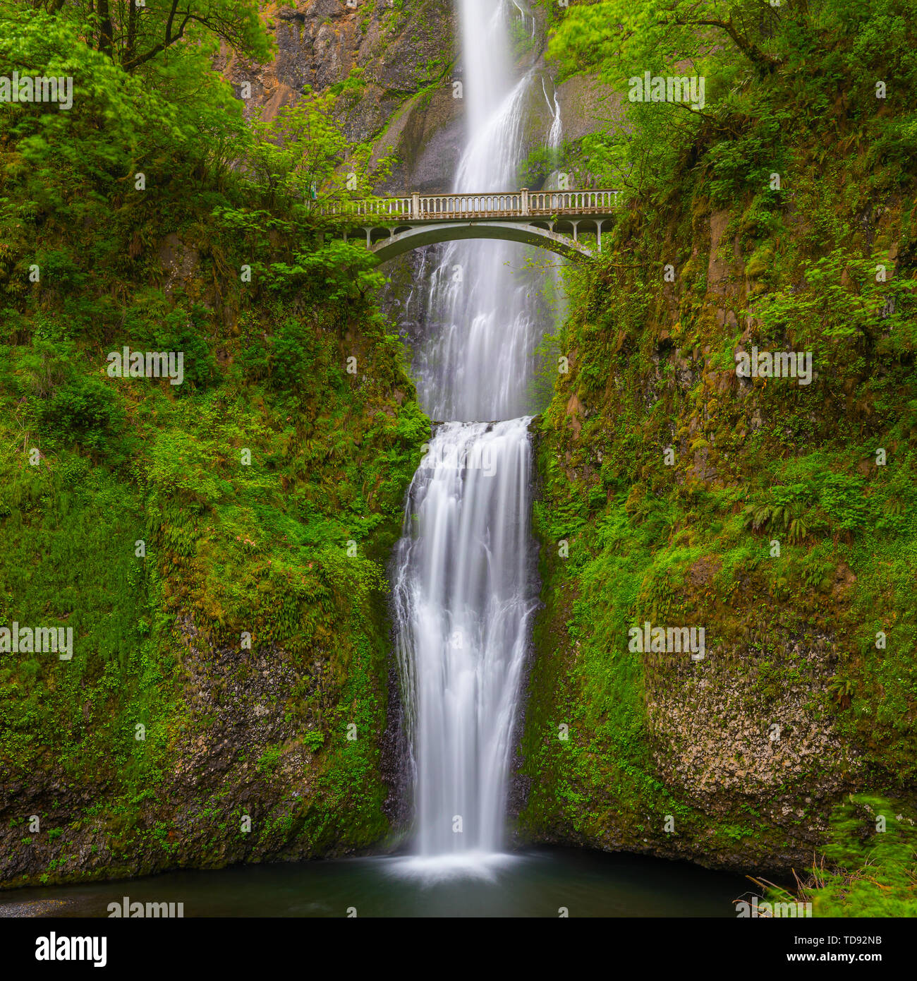 Multnomah Falls is a waterfall located in the Columbia River Gorge ...