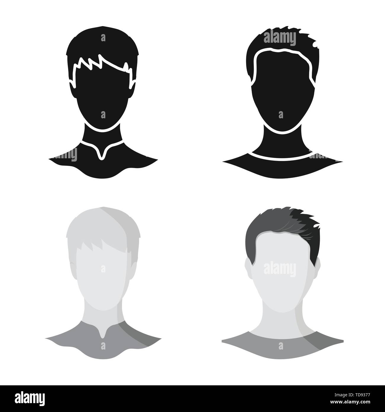Vector design of professional and photo sign. Collection of ...