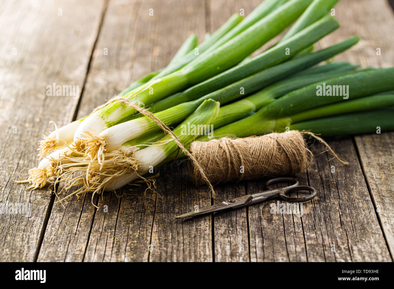 Onion plant scissors hi-res stock photography and images - Alamy