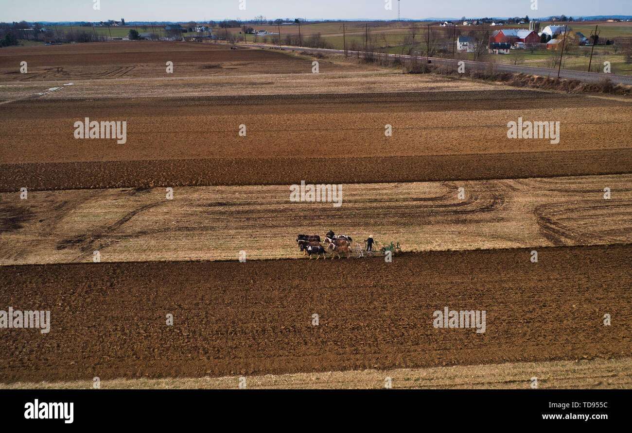 Aerial View of Amish Farm Worker Turning the Field in Early Spring as ...