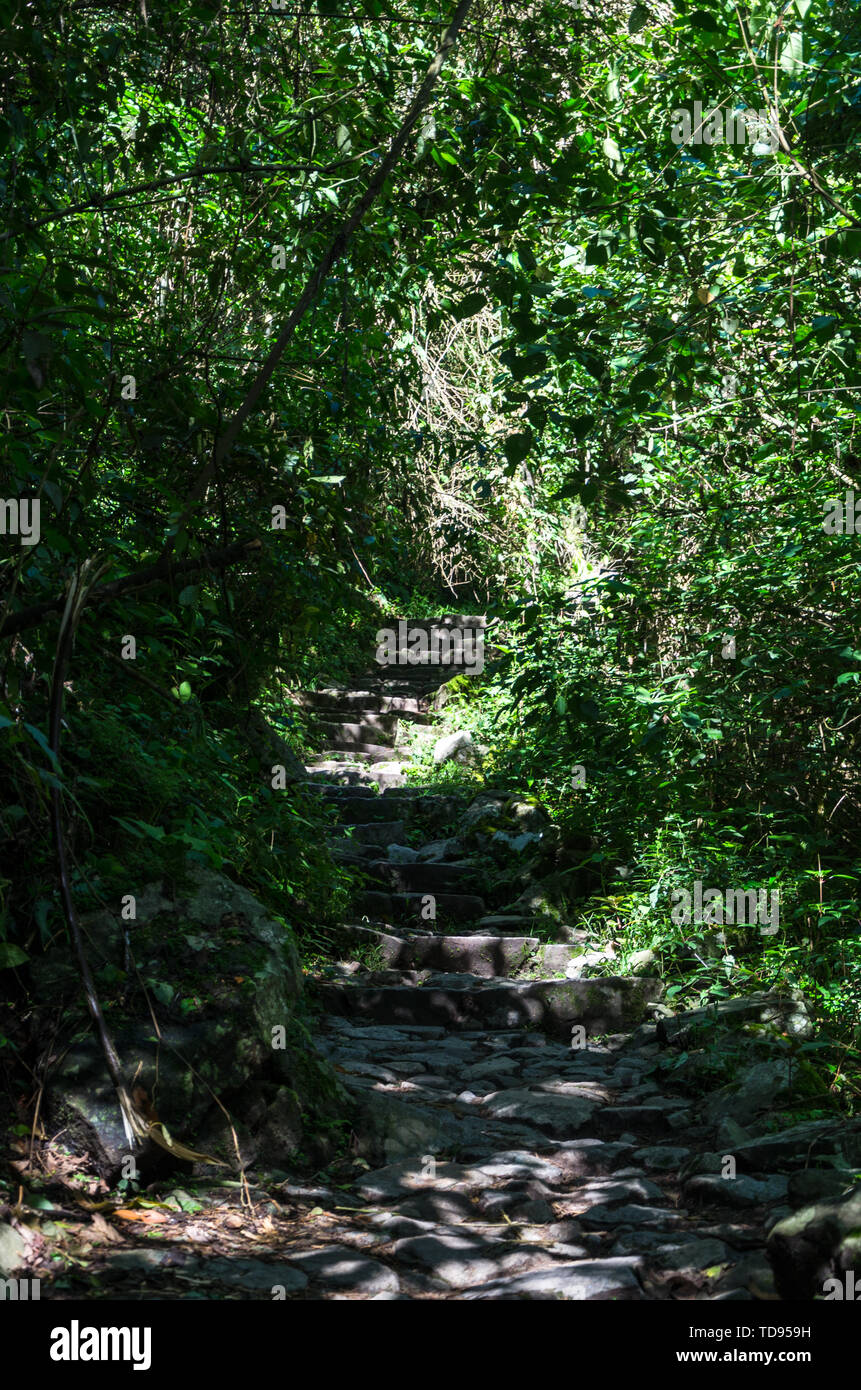 Old inca stone path machu picchu road hi-res stock photography and ...