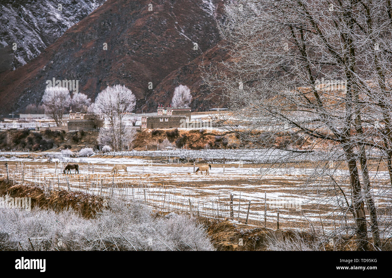 Snow view of Xindu Bridge Stock Photo - Alamy
