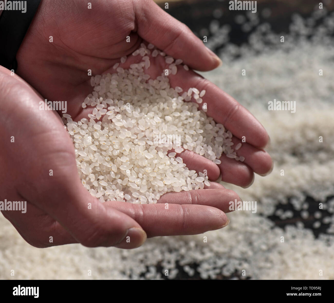 Rice heaps hi-res stock photography and images - Alamy