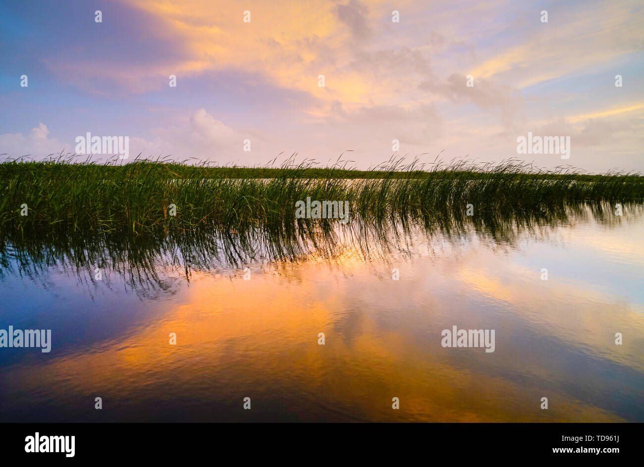 Meishan Island Wetland Park Stock Photo - Alamy