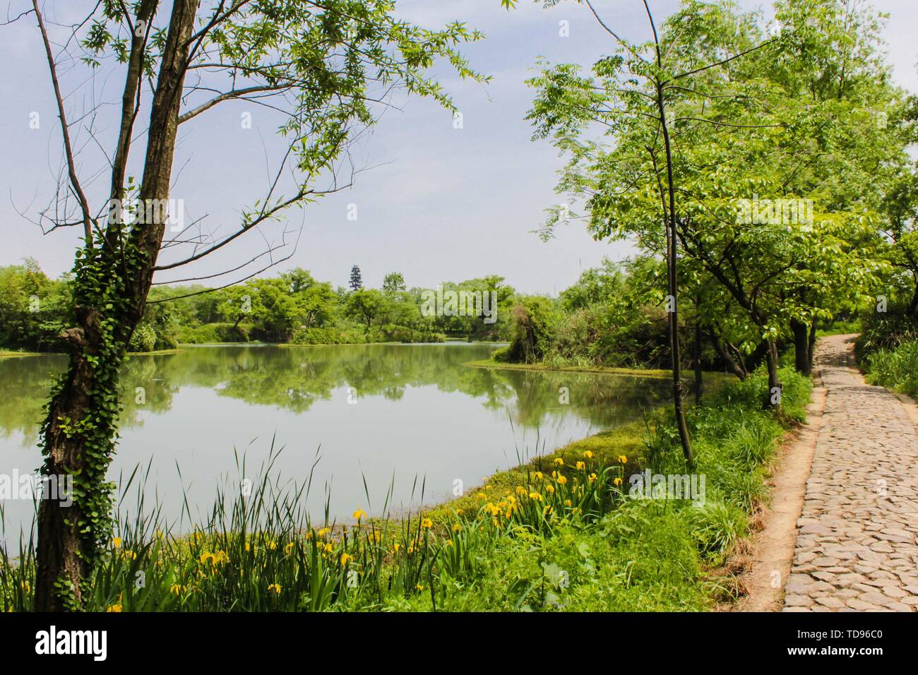 Scenery of Xixi Wetland Park in Hangzhou Stock Photo - Alamy