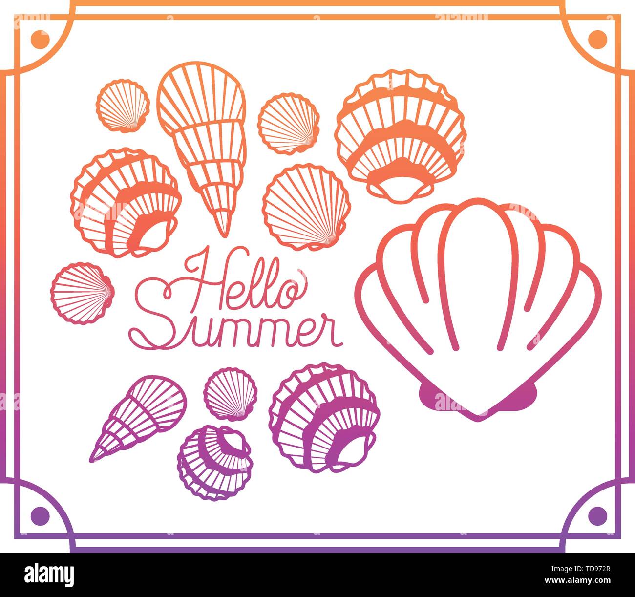hello summer label with colorful frame Stock Vector Image & Art - Alamy