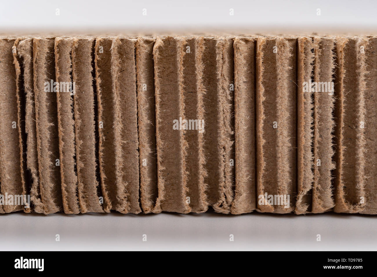 Cardboard Side Texture