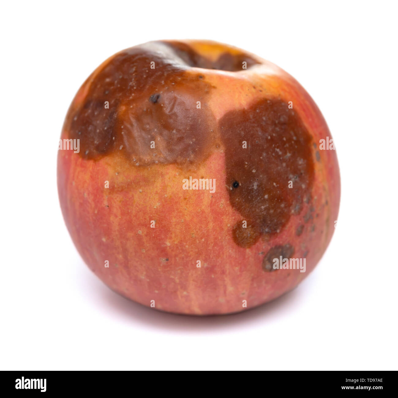 rotten apple on a white background Stock Photo - Alamy