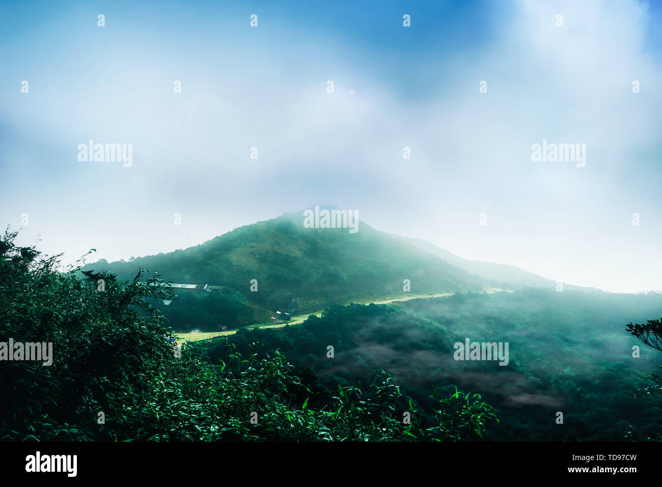 Luofu hi-res stock photography and images - Alamy