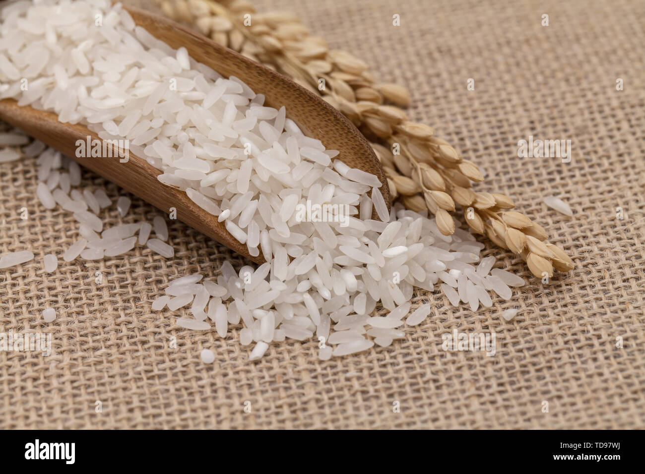 Save the crops hi-res stock photography and images - Alamy